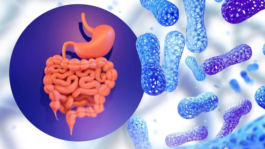 Cuidados de la microbiota: efectos y recomendaciones